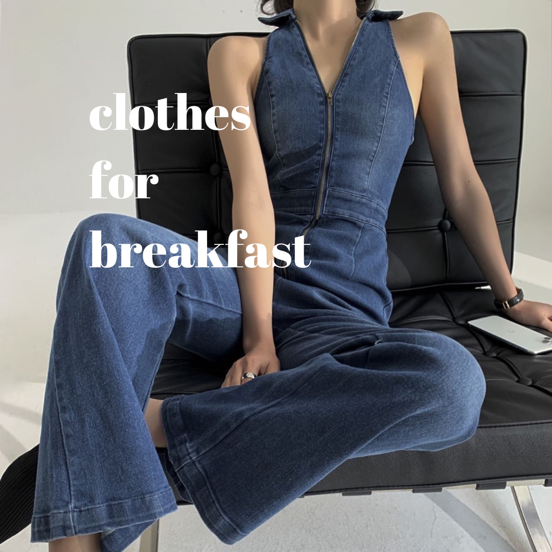 Alex Denim Jumpsuit – Clothes for Breakfast